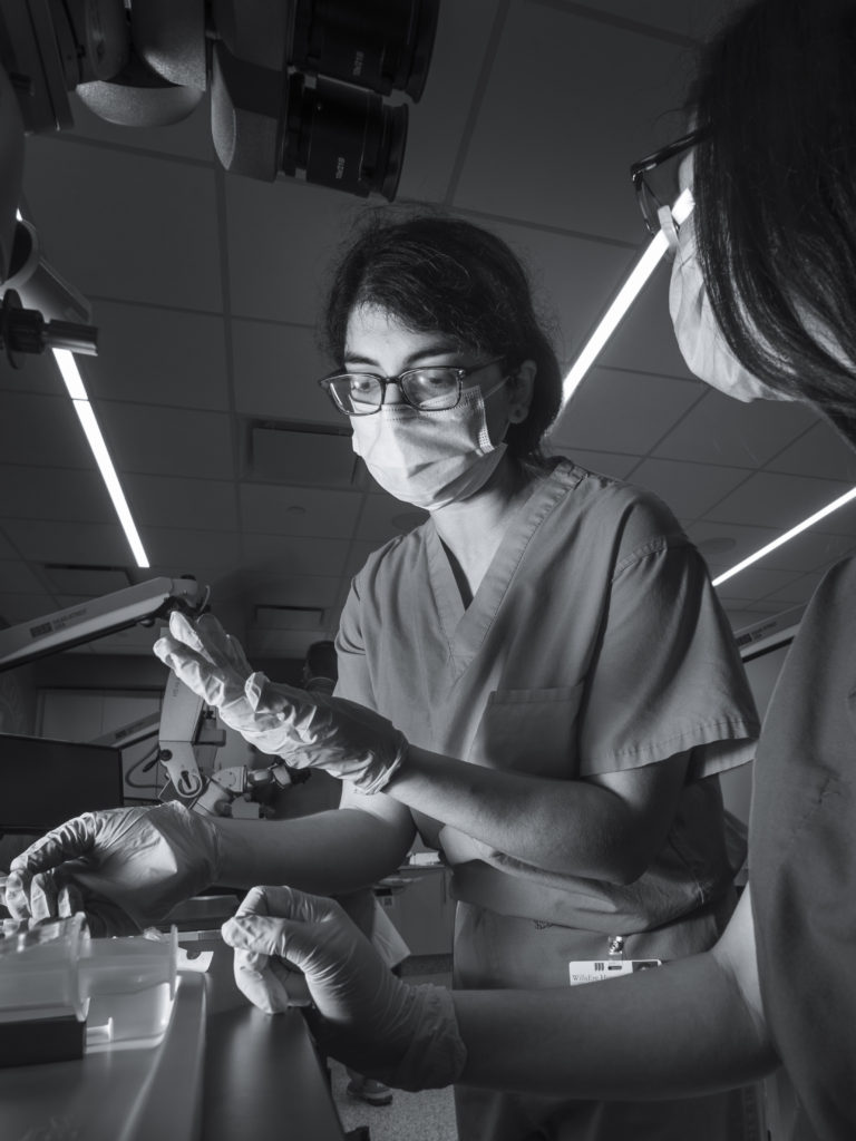 Corneal Pathology & ER Procedures - Wills Eye Library