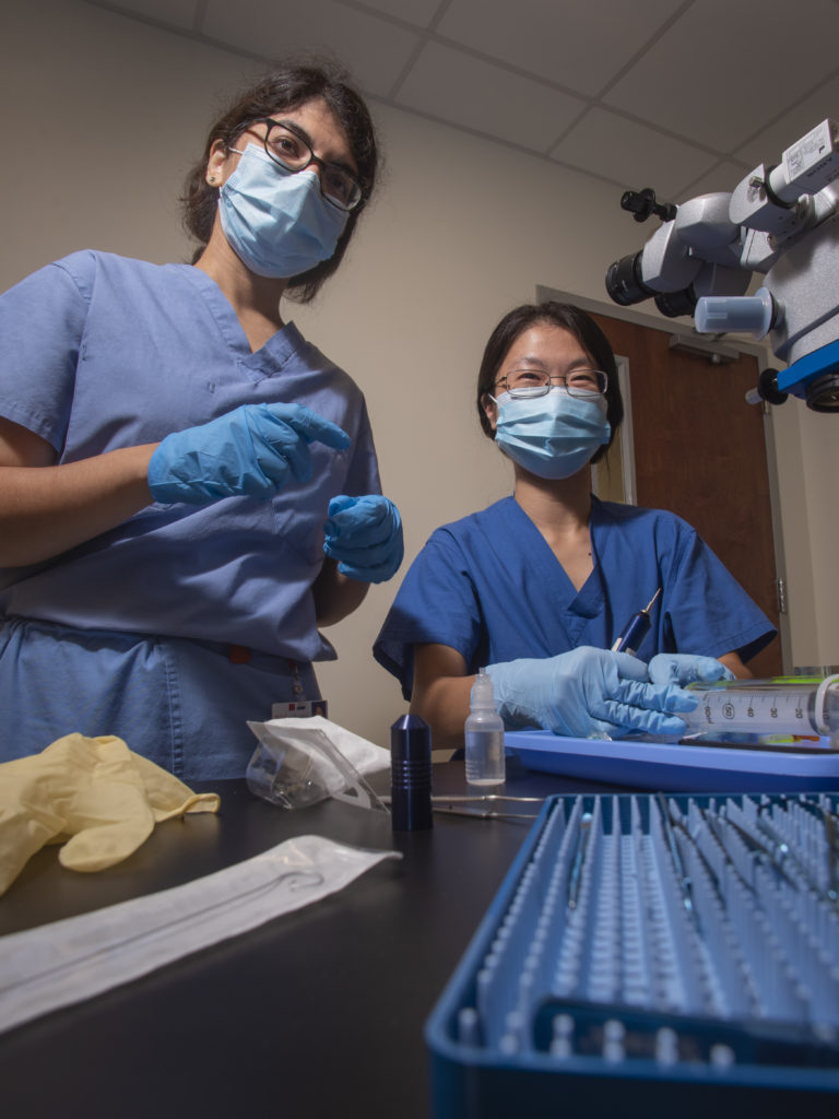 Corneal Pathology & ER Procedures - Wills Eye Library