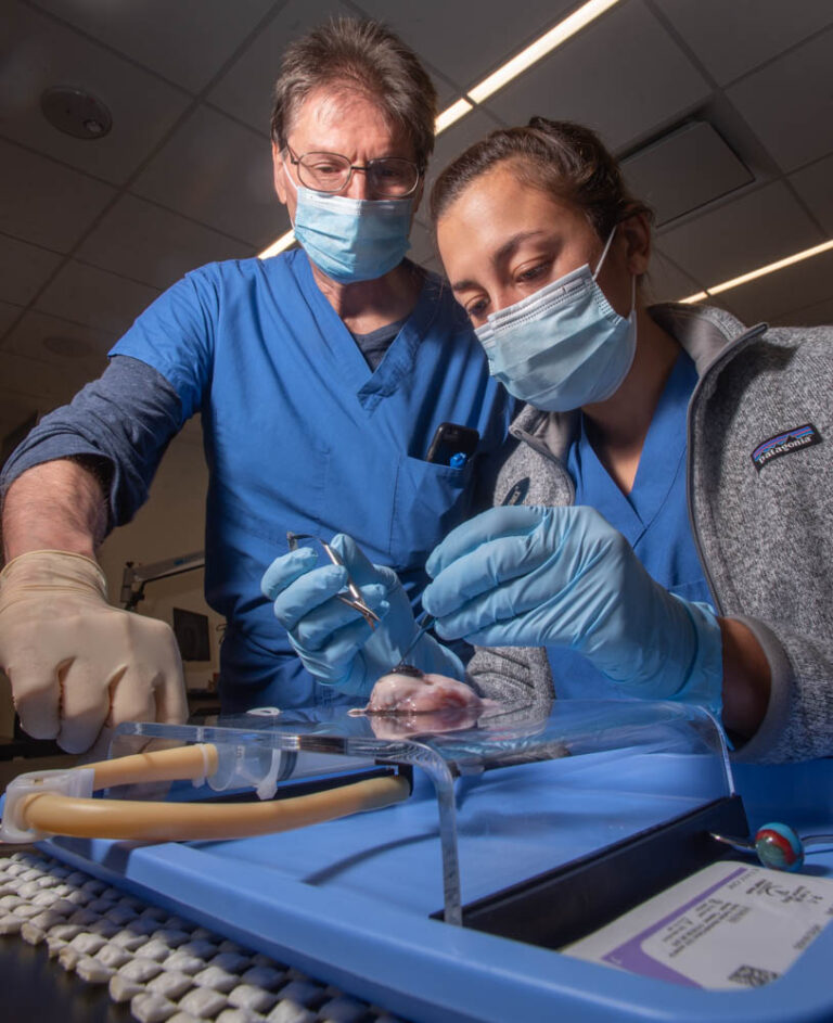 Enucleation & Evisceration - Wills Eye Library